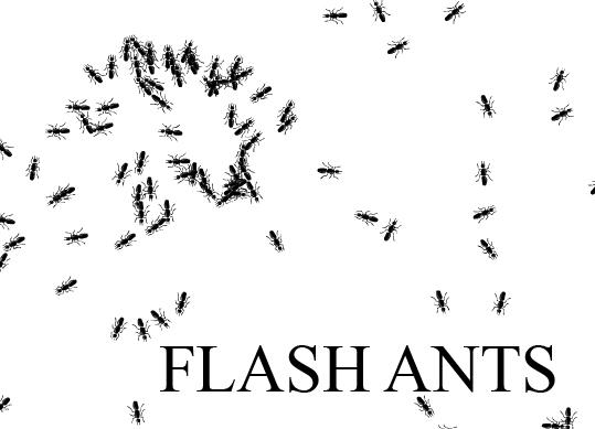 Flash Ants by Silverfox5213 on DeviantArt