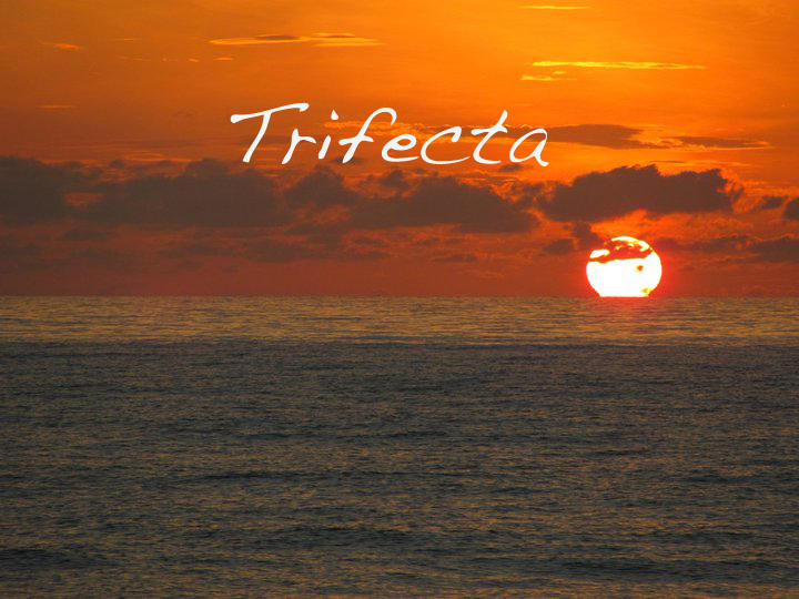Trifecta Pt. 40 by 29hogtied-muses on DeviantArt