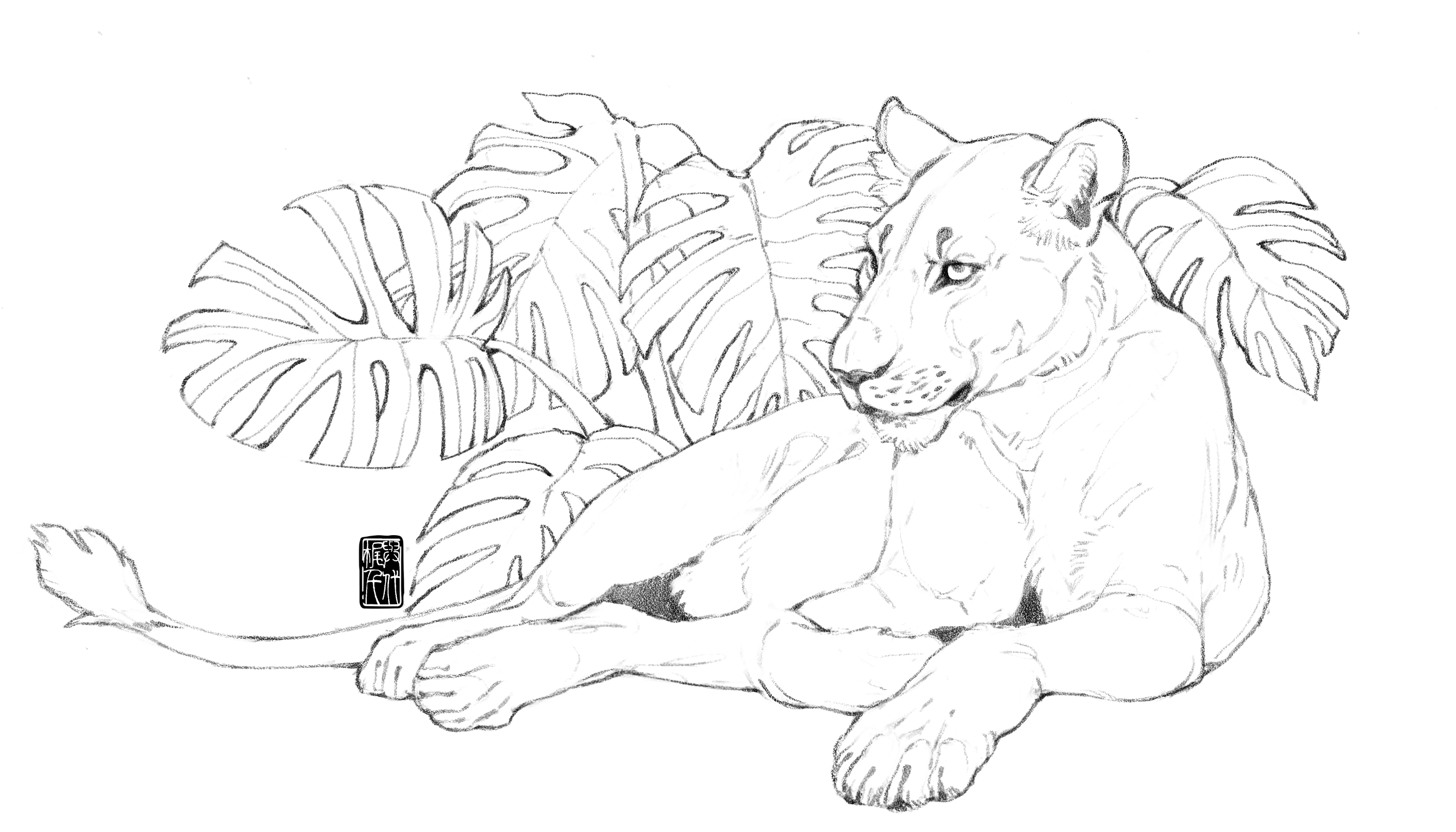 Free To Use Lion Base by AbouteaNg on DeviantArt