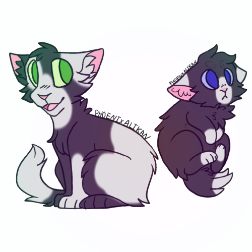 cat brothers by aarkavillo on DeviantArt