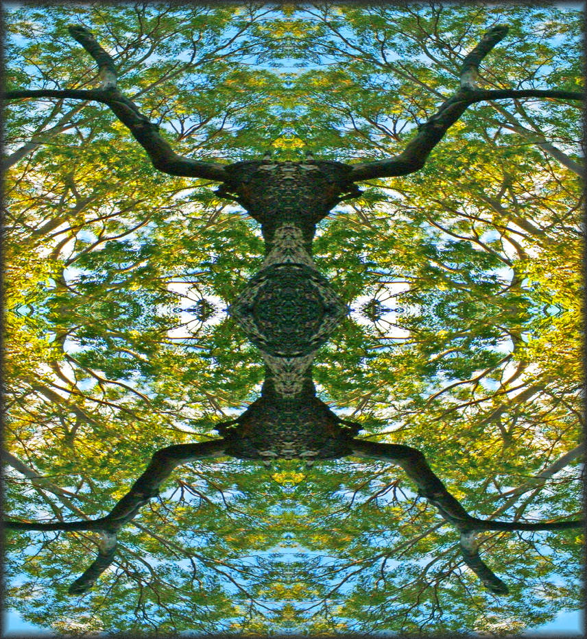 The Nilbog by SIMONGILBERTHORPE on DeviantArt