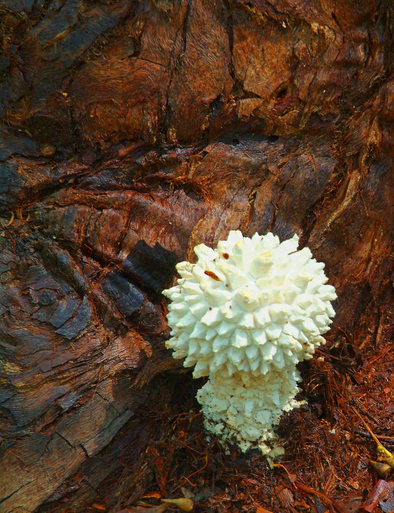 Exploding by SIMONGILBERTHORPE on DeviantArt