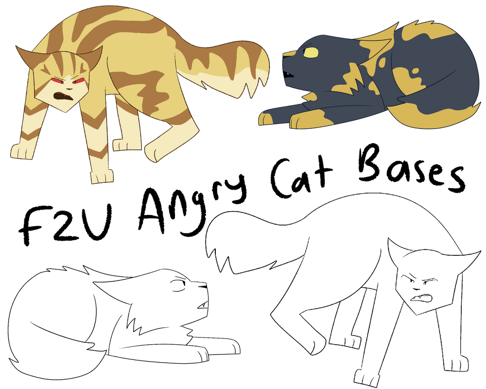 [F2U] Angry Cat Bases by mrnnki on DeviantArt