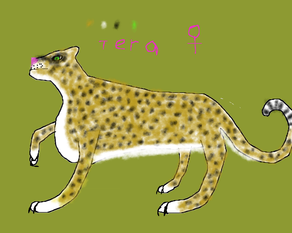 Vorish-Predators DeviantArt Gallery