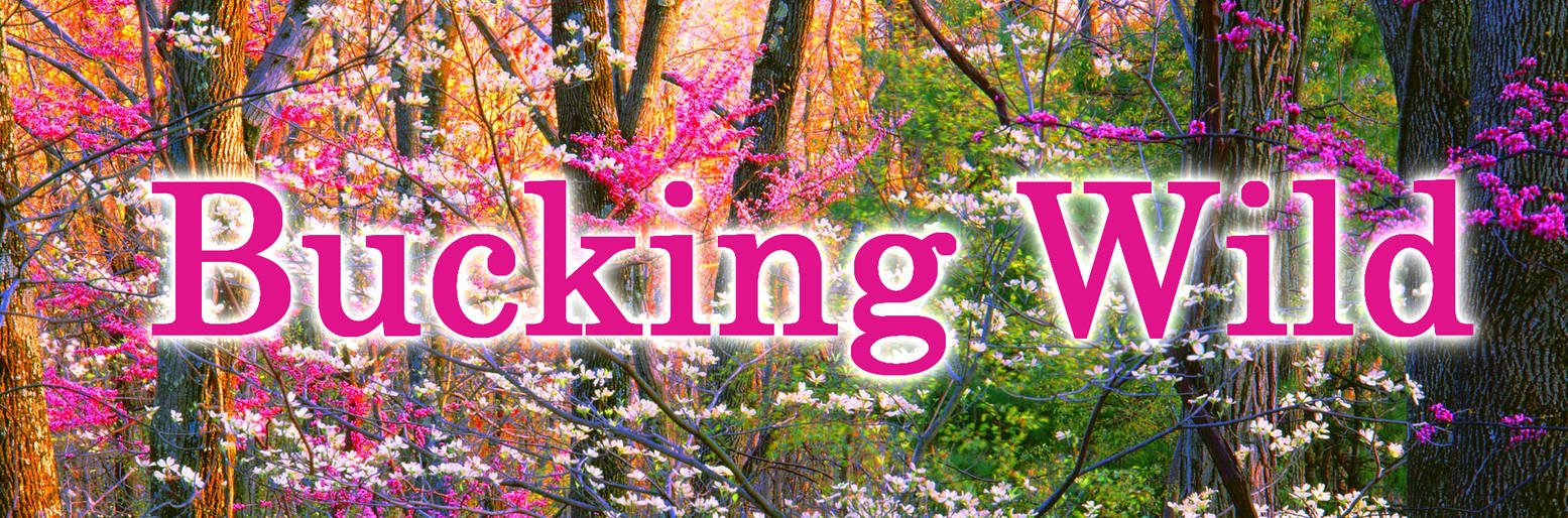 CV | Bucking Wild by FabledUnicorn on DeviantArt