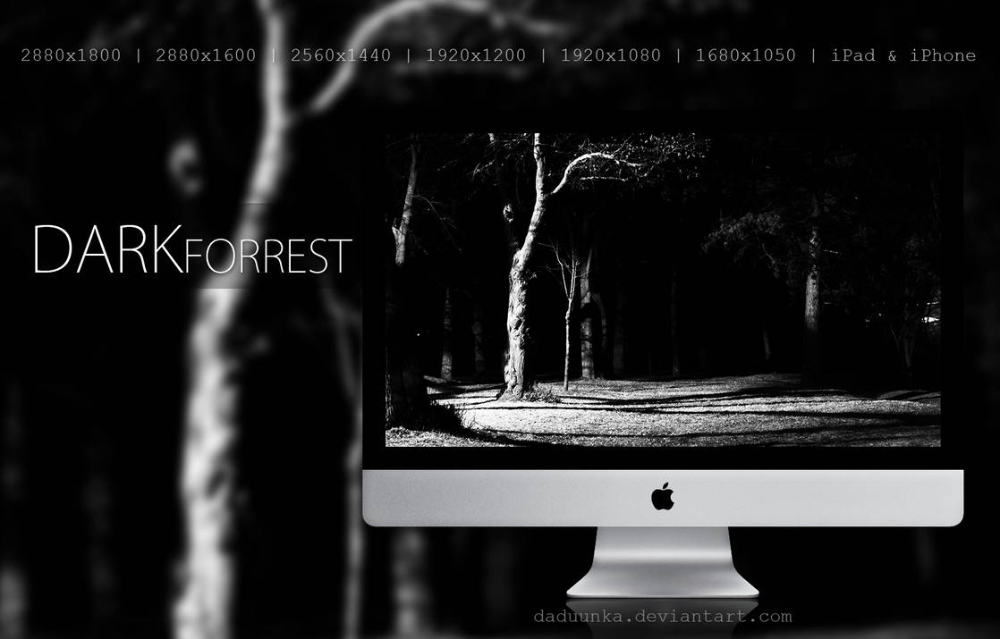 The Dark Forrest - Wallpaper by Daduunka on DeviantArt