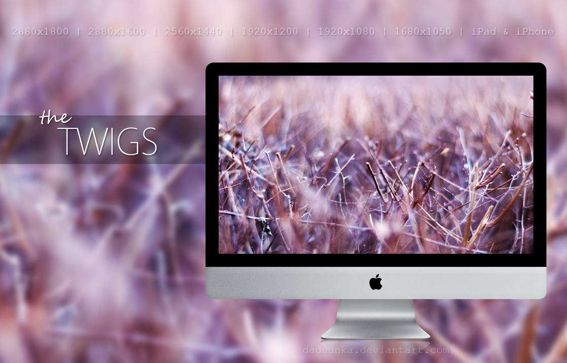 The twigs - Wallpaper by Daduunka on DeviantArt