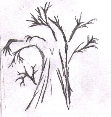 The tree outside your window. by istnaught on DeviantArt