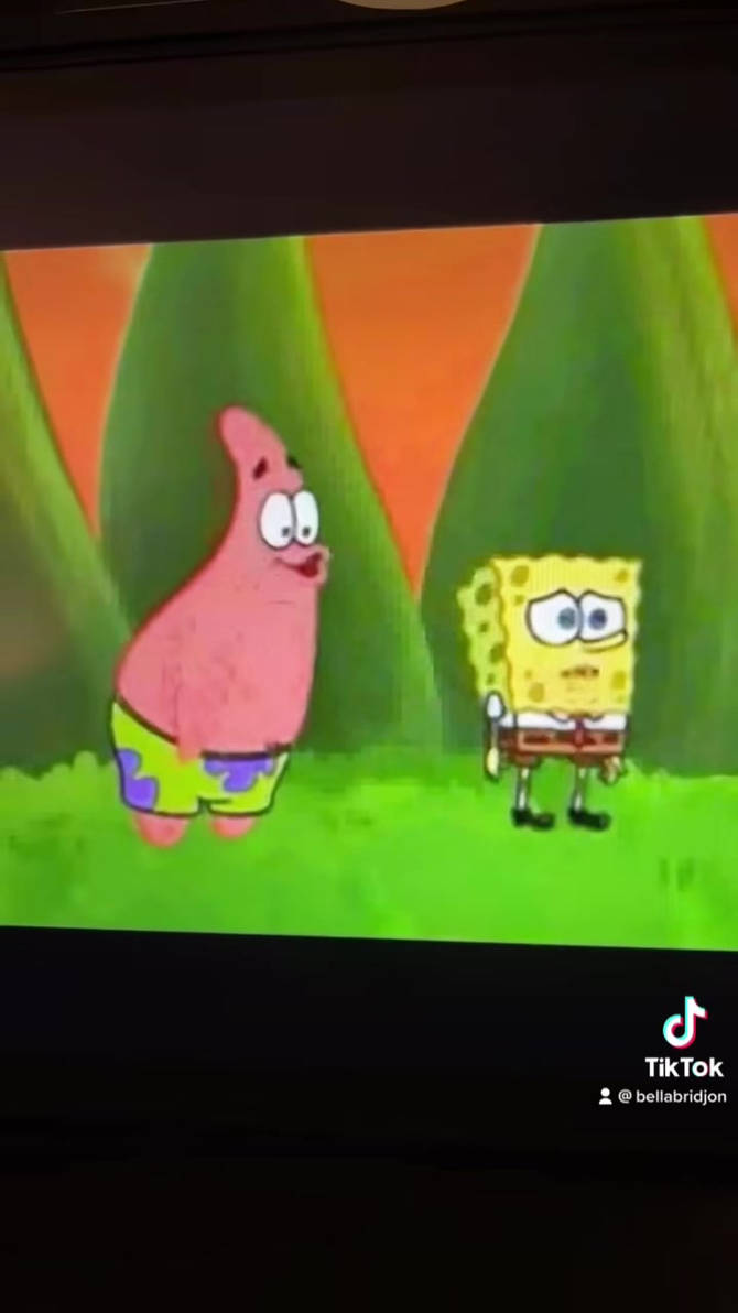I'm Ugly and I'm Proud - Spongebob [Tiktok] by BellaBridjon on DeviantArt
