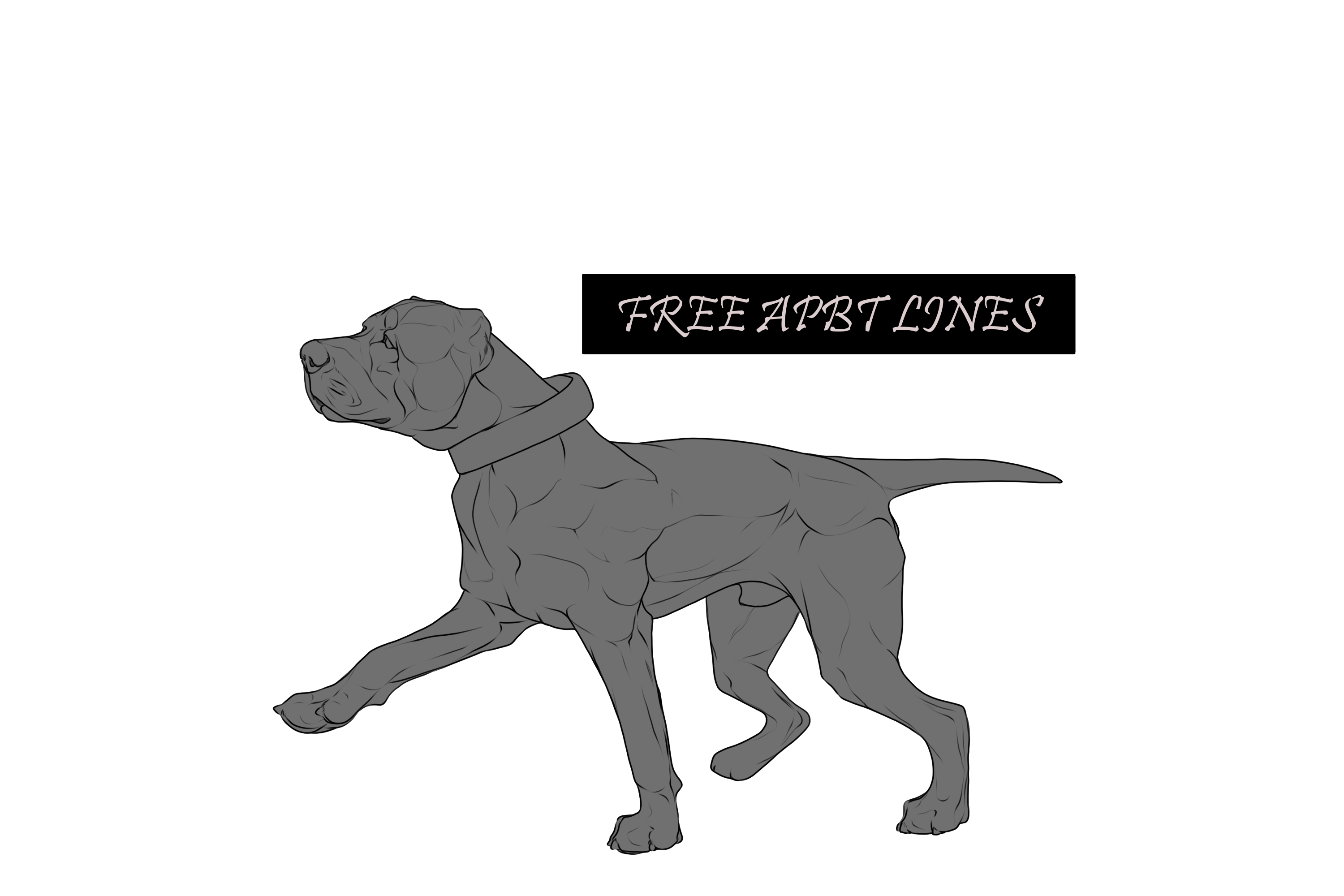 Free APBT lines by SimplyRusticKennels on DeviantArt