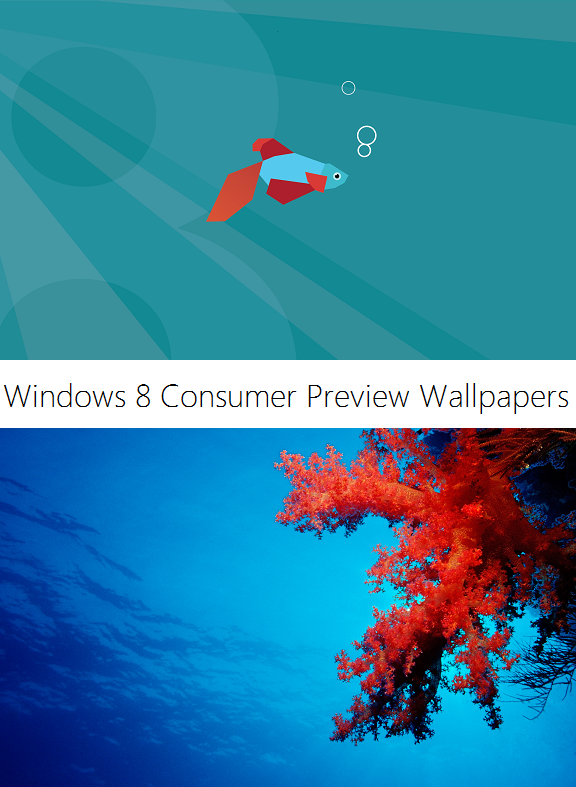 Windows 8 Consumer Preview Wallpapers by Misaki2009 on DeviantArt