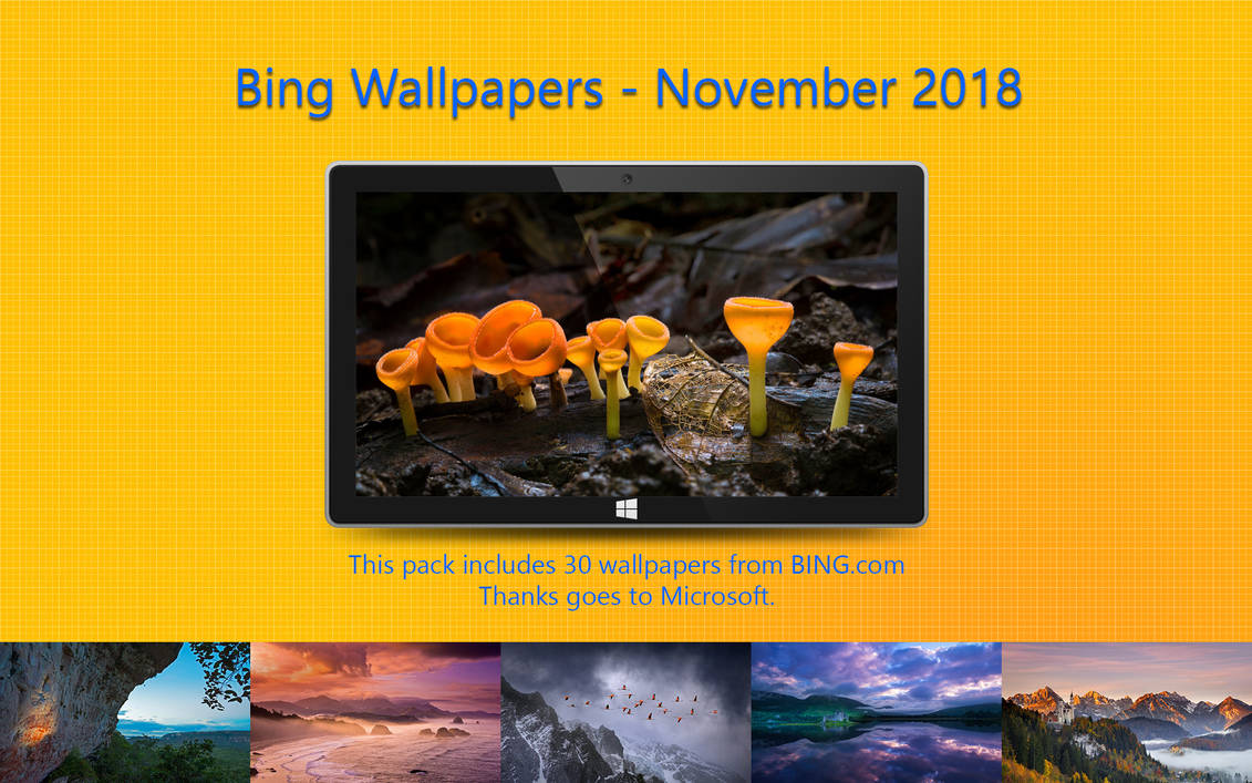Bing Wallpaper November 17