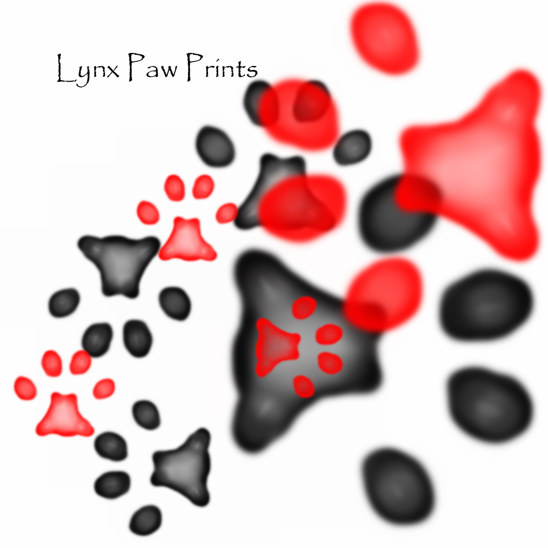 Lynx Paw Print Brush by AmbiantNight on DeviantArt