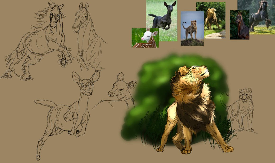 Animal Study by DustyBUGS on DeviantArt