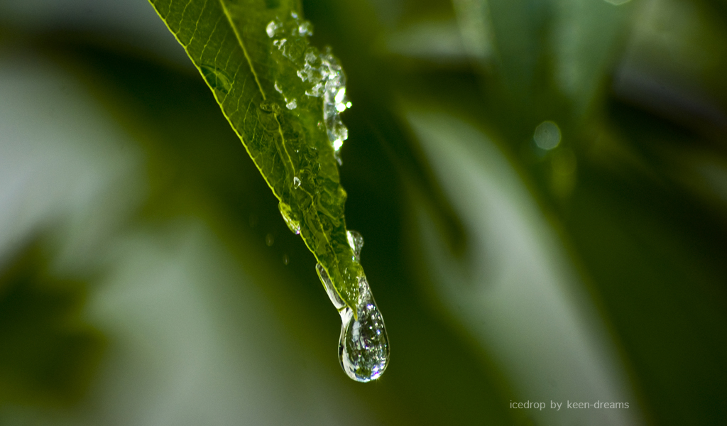 icedrop Wallpaper Pack by keen-dreams on DeviantArt