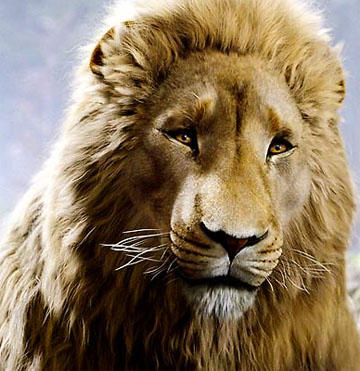 SxC meet Aslan, pt. 1 by HolyCross9 on DeviantArt