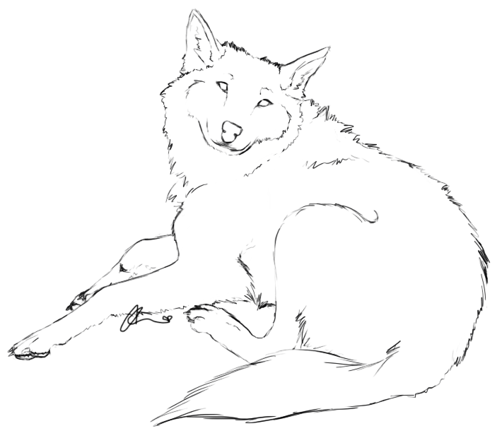Free Wolf Lines 2 by Inkumei on DeviantArt