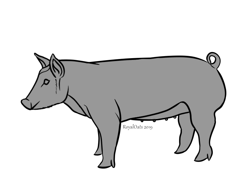 F2U Hampshire Pig Base by RoyalOats on DeviantArt