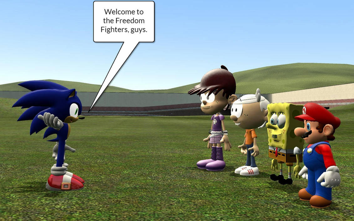 Freedom Fighters Welcome by themarioman56 on DeviantArt