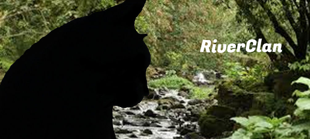 RiverClan Wallpaper by IMarriedSiriusBlack on DeviantArt