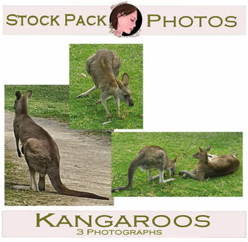 Skippy and Matilda under a mistletoe by RailwayKangaroo on DeviantArt