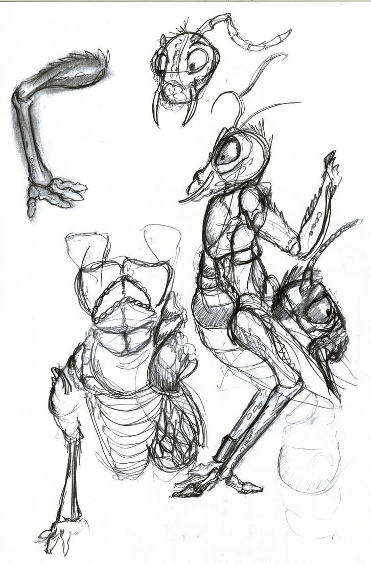Anthropomorphic insect doodle by HayaoYokogawa on DeviantArt
