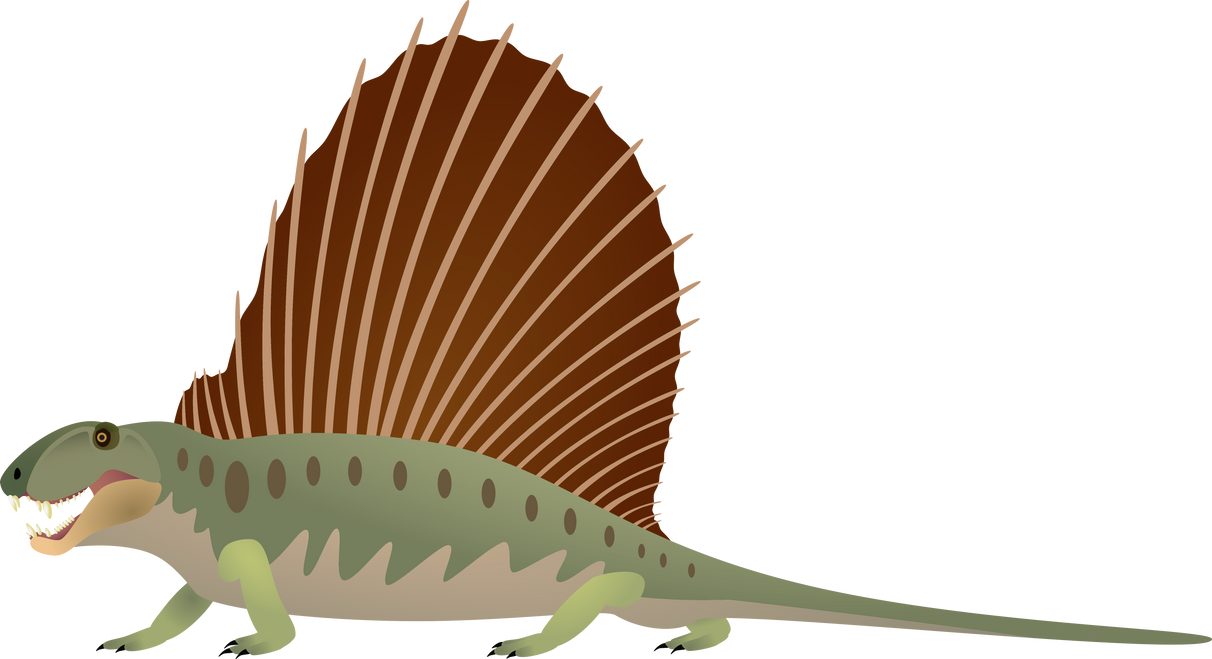 Dimetrodon by DasRuedi on DeviantArt