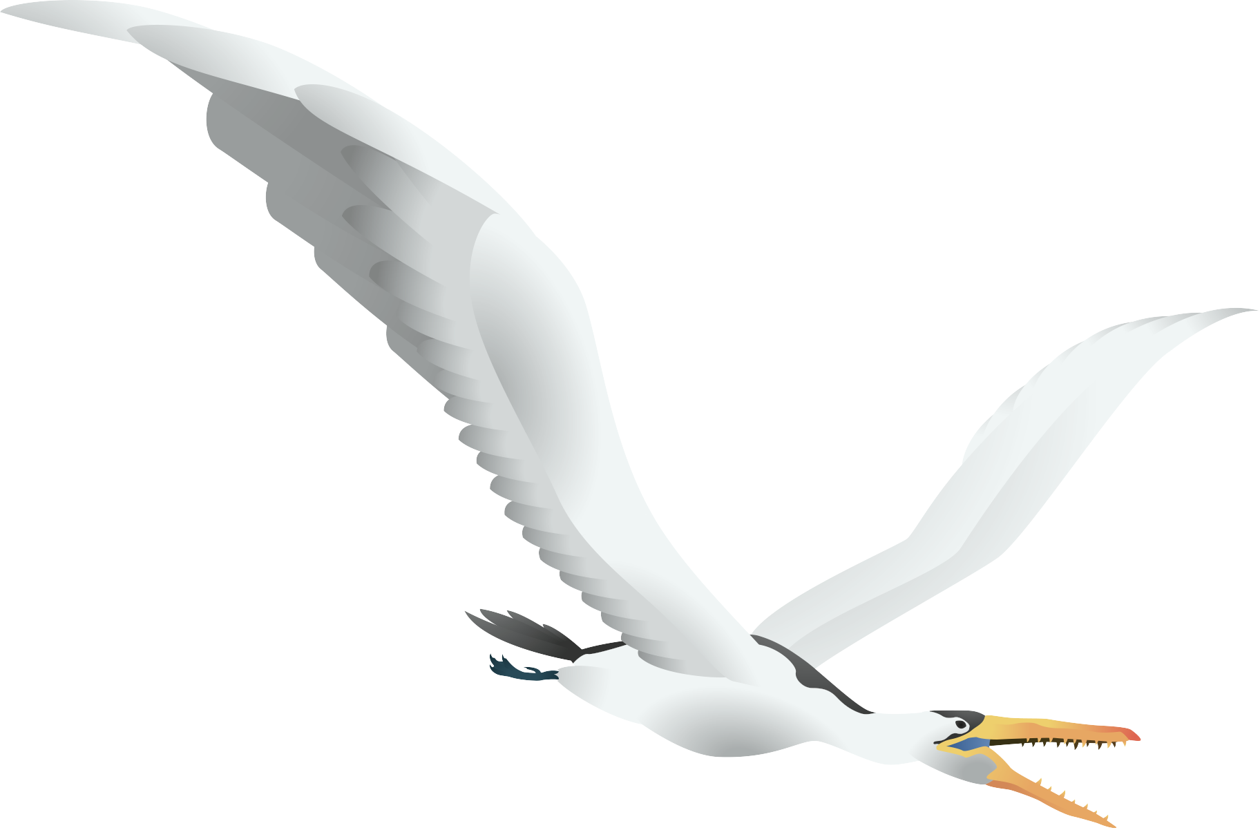 Pelagornis by DasRuedi on DeviantArt