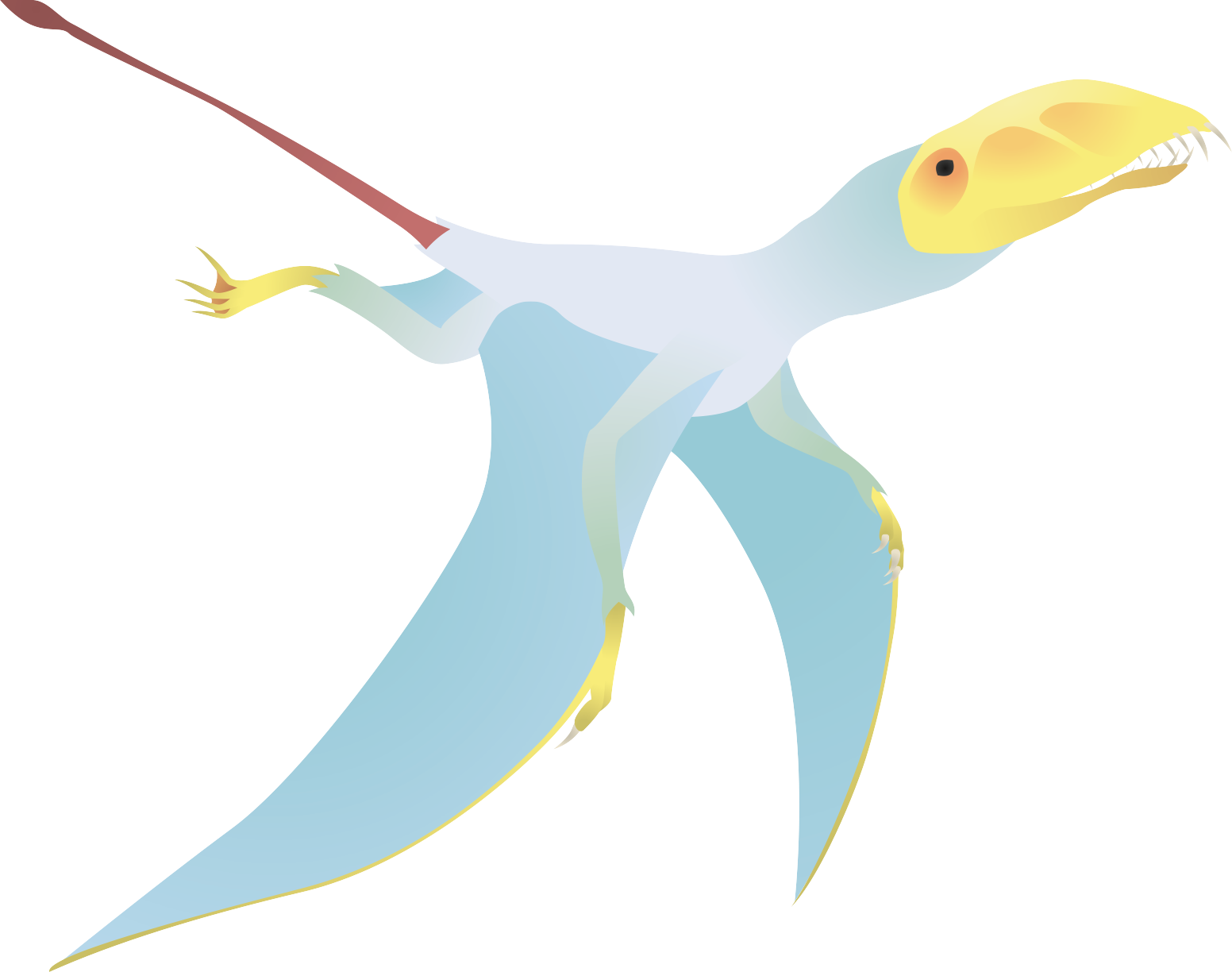 Dimorphodon by DasRuedi on DeviantArt