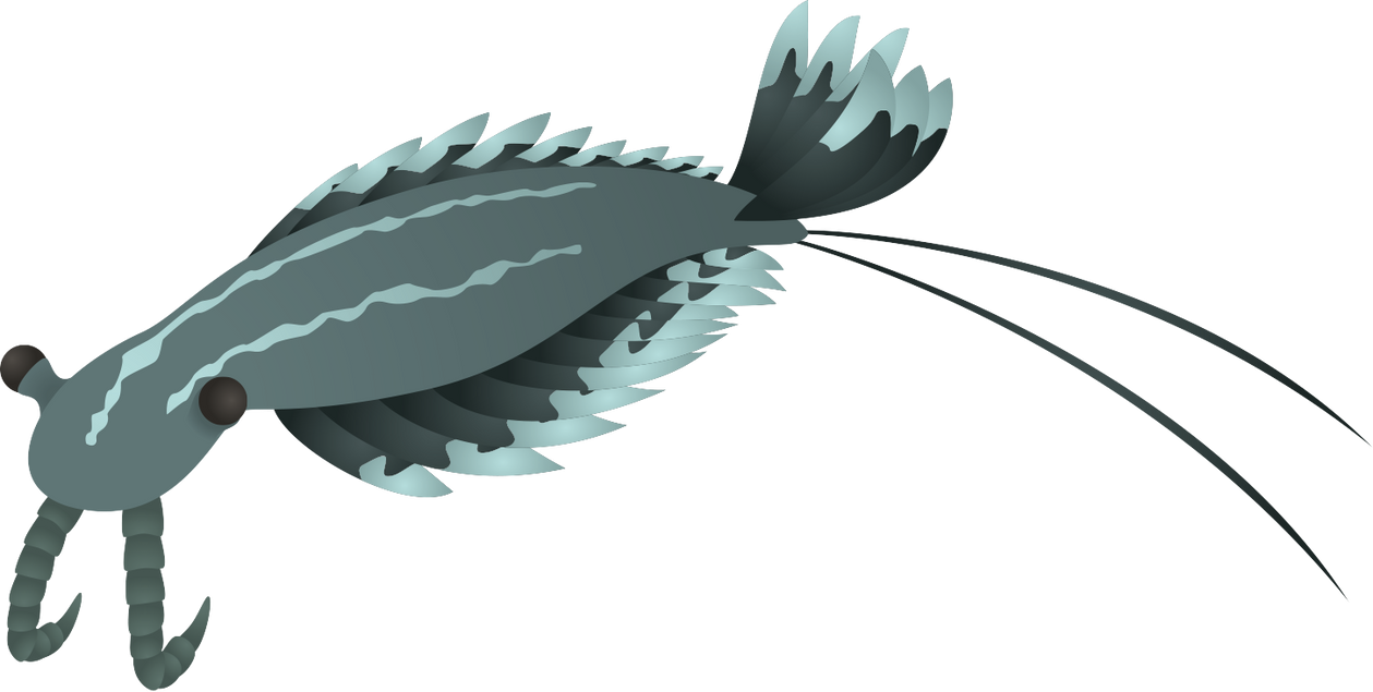 Anomalocaris by DasRuedi on DeviantArt