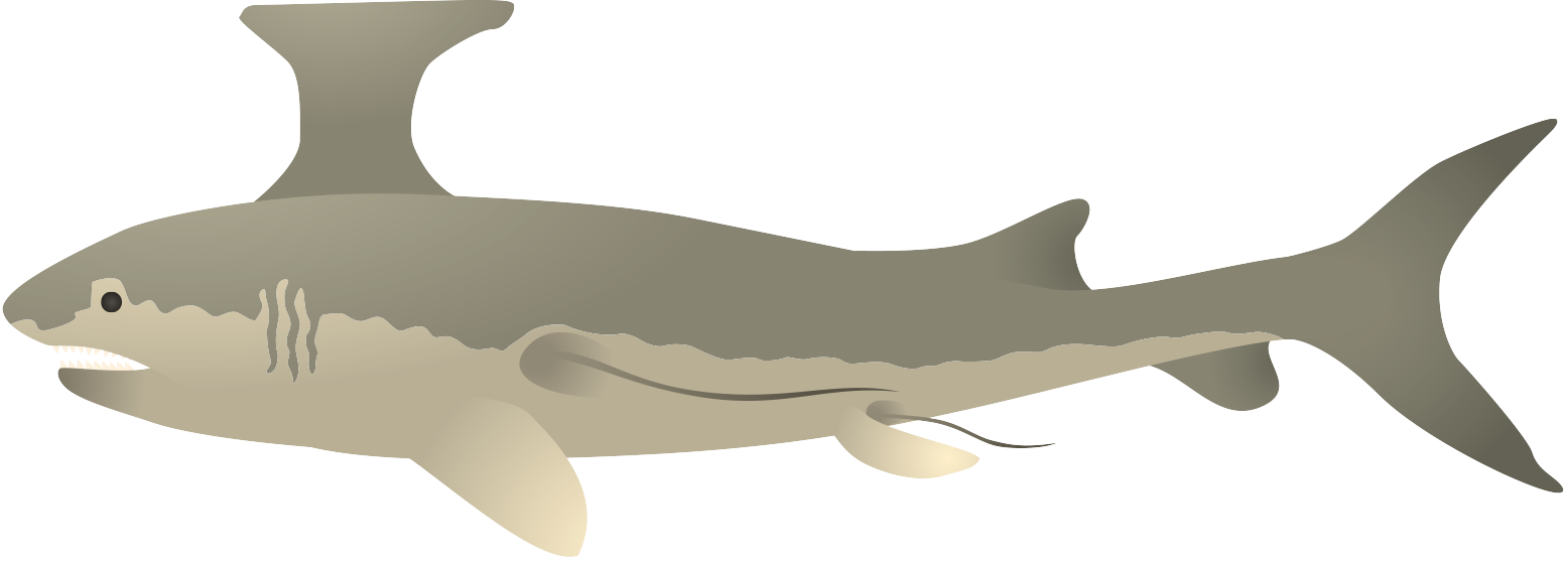 Stethacanthus by DasRuedi on DeviantArt