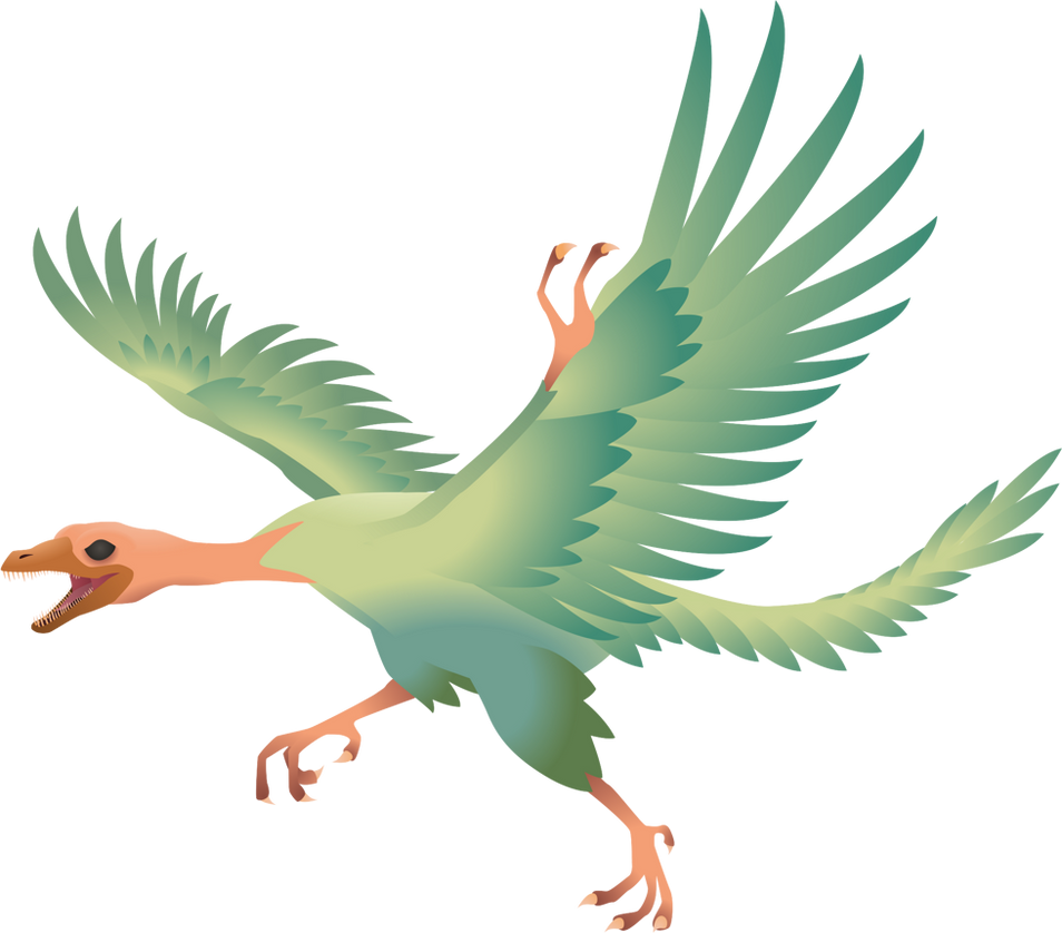 Archeopteryx by DasRuedi on DeviantArt