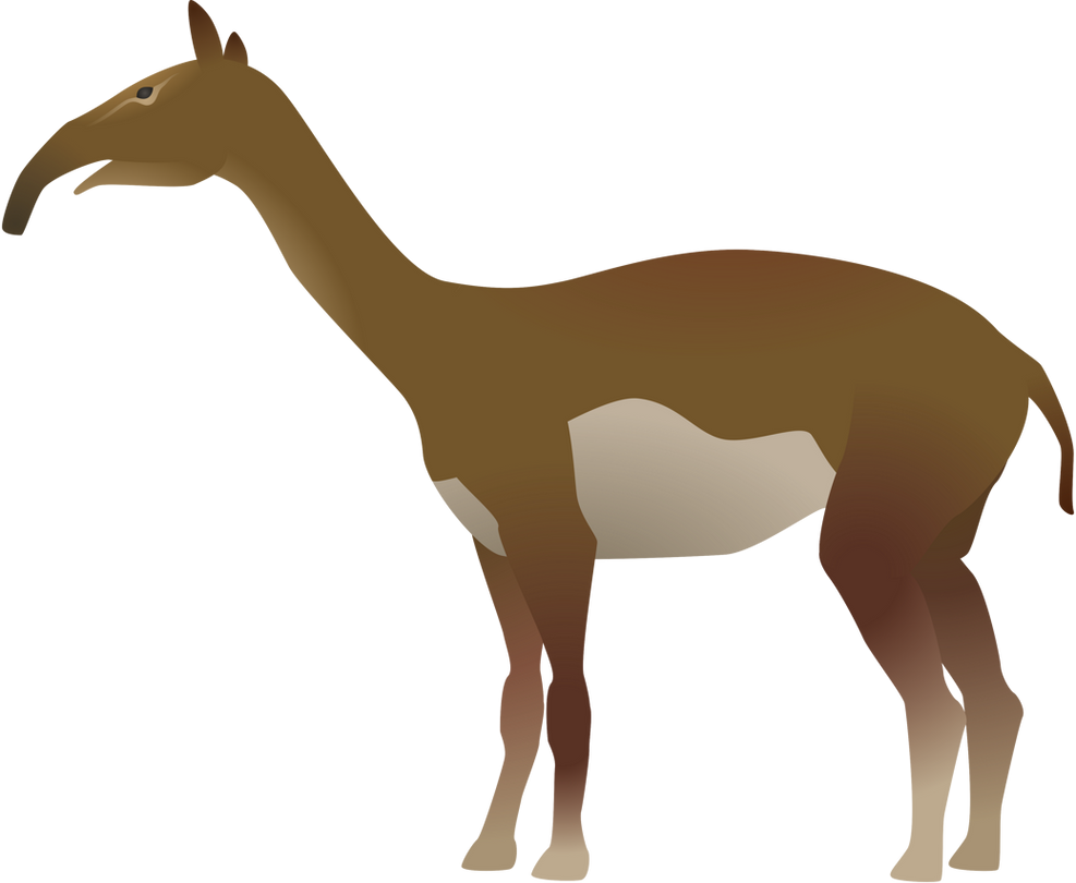 Macrauchenia by DasRuedi on DeviantArt