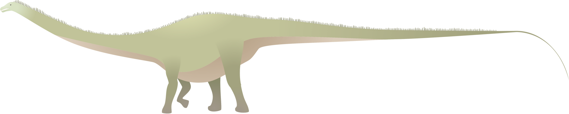 Diplodocus by DasRuedi on DeviantArt