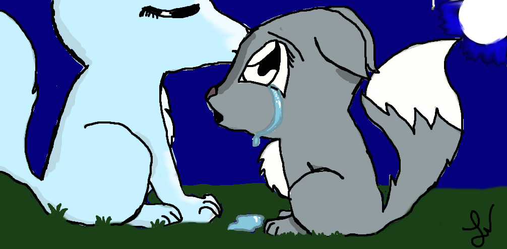 Sad Wolf by xXmusicl101Xx on DeviantArt