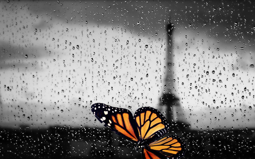 Rain-Background by cdeminor on DeviantArt