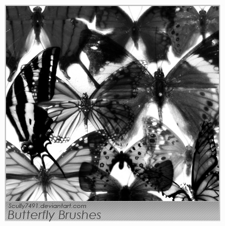Butterfly Brushes by Scully7491 on DeviantArt