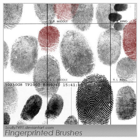 Fingerprinted Brushes by Scully7491 on DeviantArt