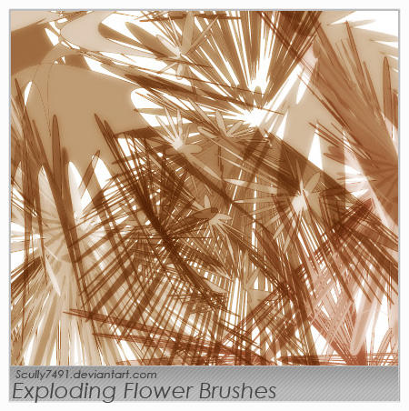 Exploding Flower brushes by Scully7491 on DeviantArt