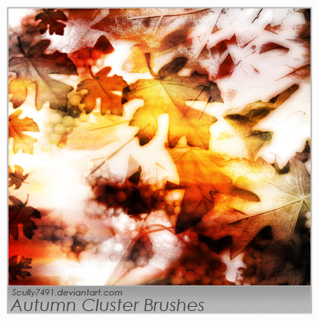 Autumn Cluster Brushes by Scully7491 on DeviantArt