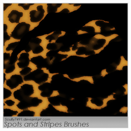 Spots and Stripes Brushes by Scully7491 on DeviantArt