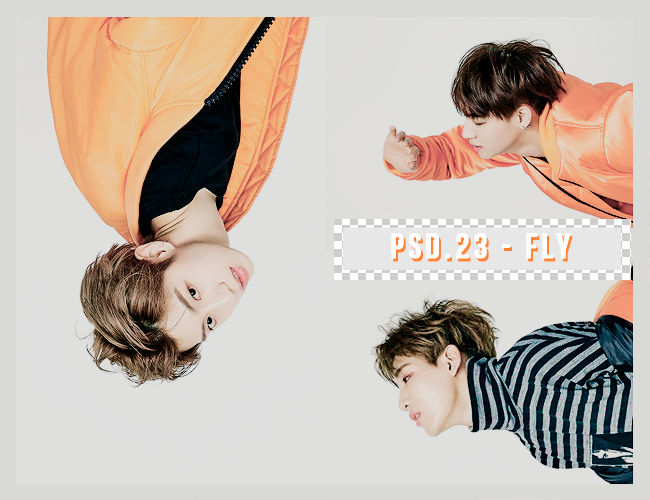 PSD 23 - FLY by ellathe on DeviantArt