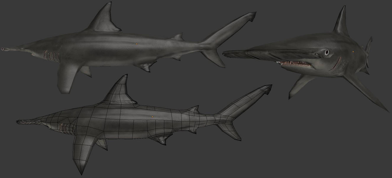 Hammerhead Shark by tiagofaller2 on DeviantArt