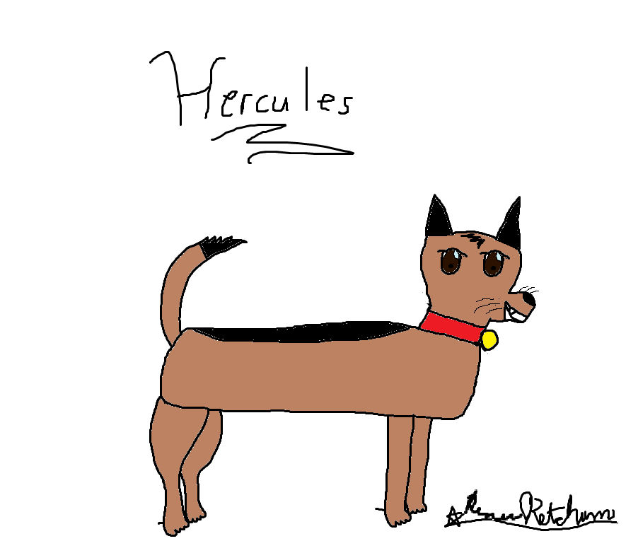 Hercules Bio by Renee-Ketchum on DeviantArt