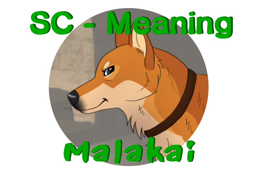SC - Meaning by TheMystories on DeviantArt