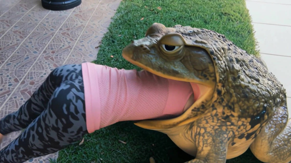 Ex-wife yoga frog vore by vorebella on DeviantArt