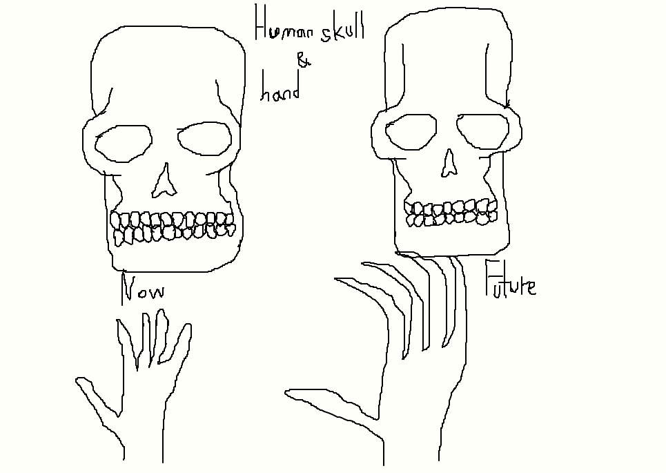 Future Evolution Of Man Skulls