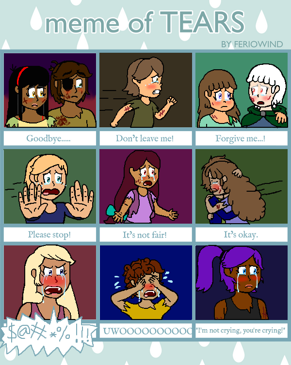 meme of TEARS by FerioWind on DeviantArt