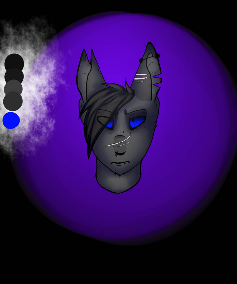 Austin Bae 2.0 by Spiritwolf546 on DeviantArt