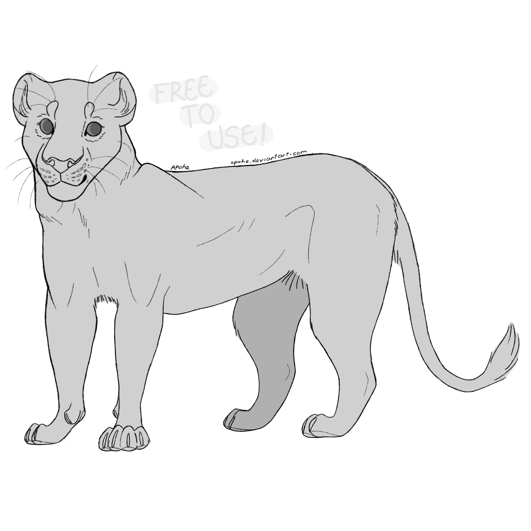 Lioness FREE TO USE base by Apohe on DeviantArt